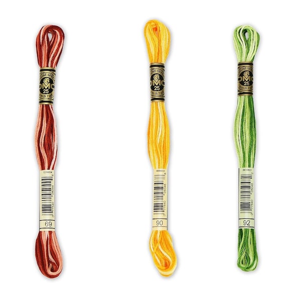 Dmc Variegated Floss - Etsy