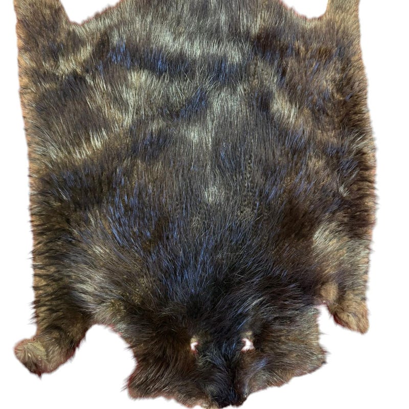 Beaver Pelt - Etsy