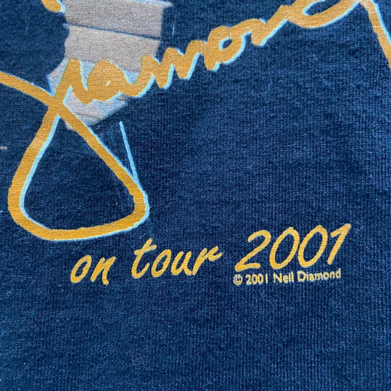 Neil Diamond On Tour 2001 Live In Concert Music Band … - Gem
