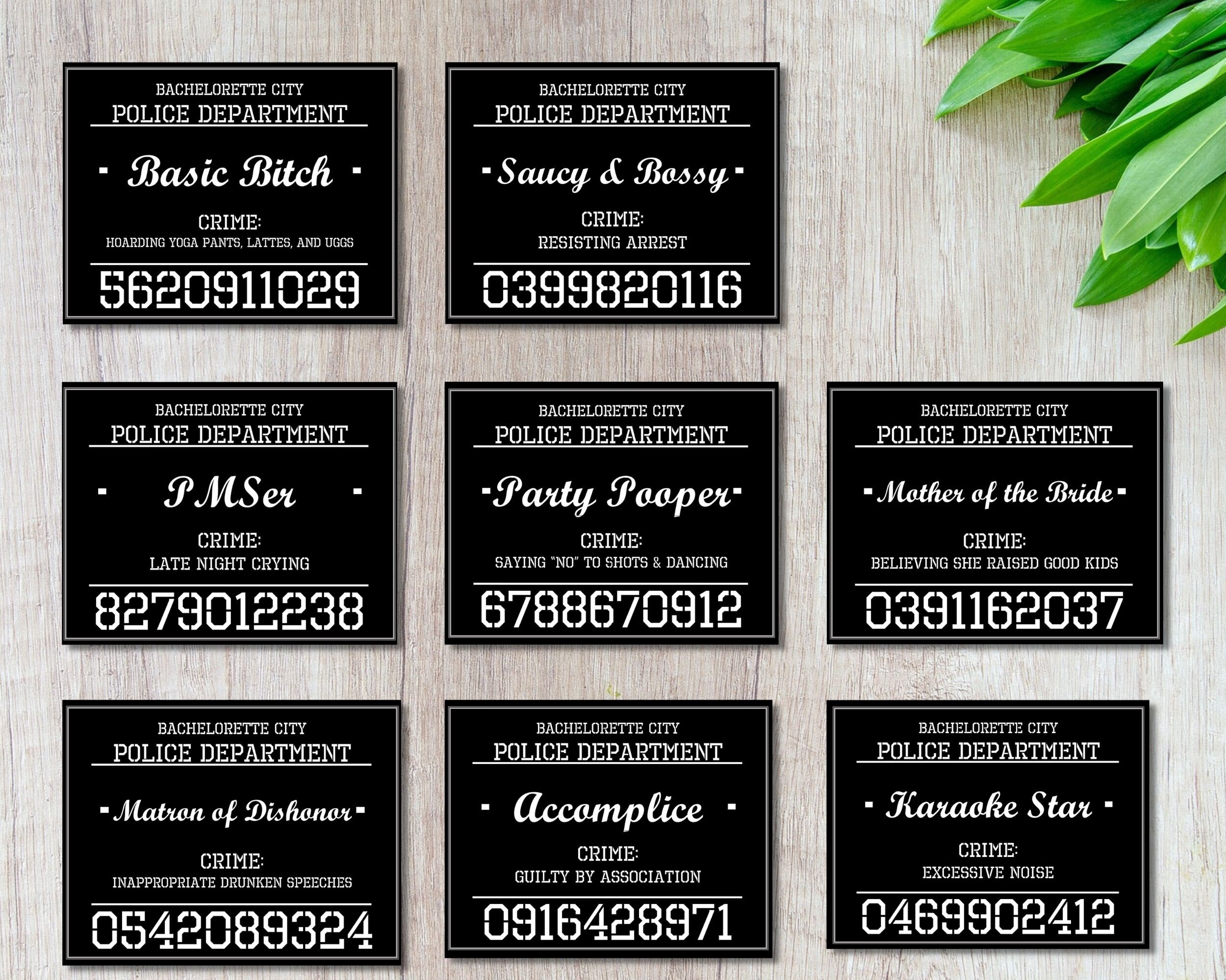 Bachelorette Party Mugshots Bachelorette Party Game Bridal Party ...