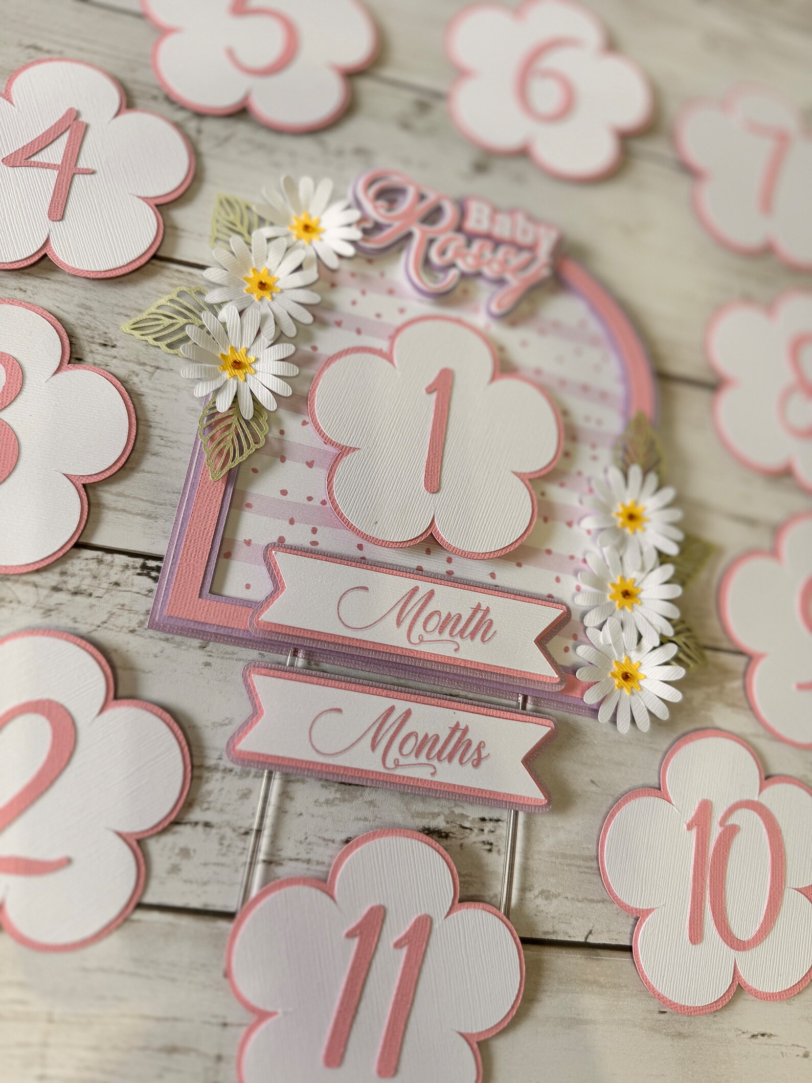 Baby Monthly Cake Topper, Monthly Milestone Topper, Baby Moths Birthday ...