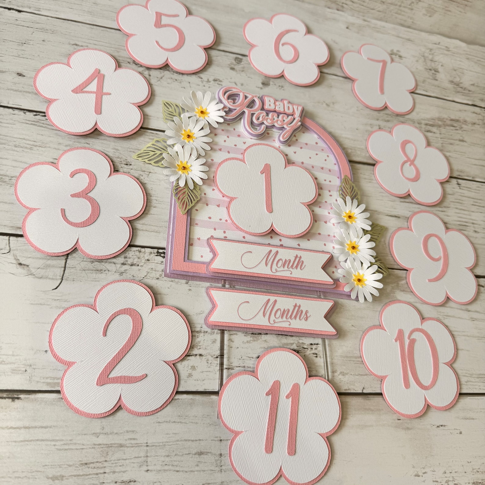 Baby Monthly Cake Topper, Monthly Milestone Topper, Baby Moths Birthday ...