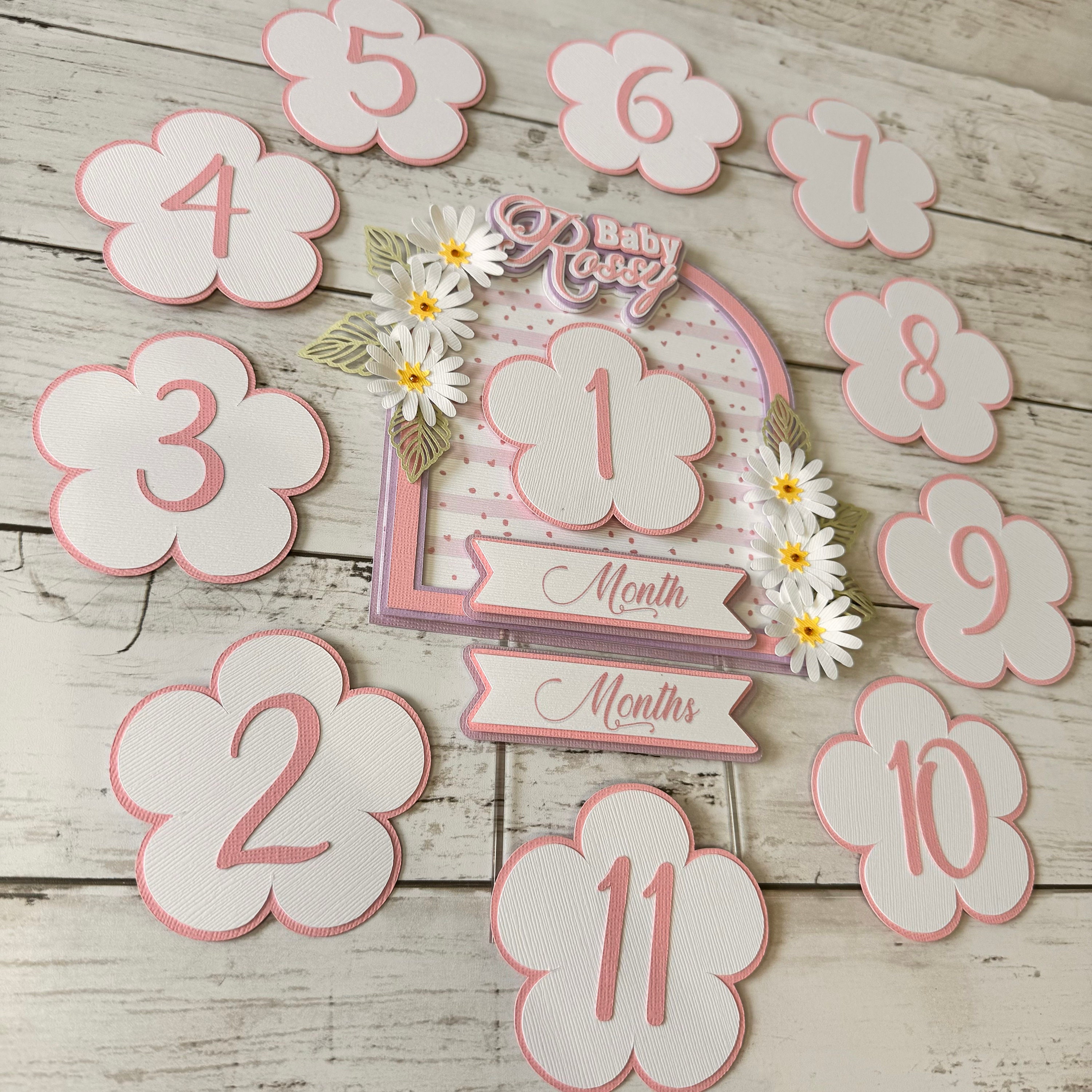 Baby Monthly Milestone Cake Topper, Photo Prop - Etsy