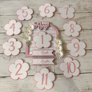 Baby Monthly Cake Topper, Monthly Milestone Topper, Baby Moths Birthday ...