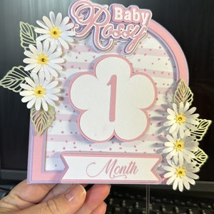 Baby Monthly Cake Topper, Monthly Milestone Topper, Baby Moths Birthday ...