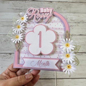 Baby Monthly Cake Topper, Monthly Milestone Topper, Baby Moths Birthday ...