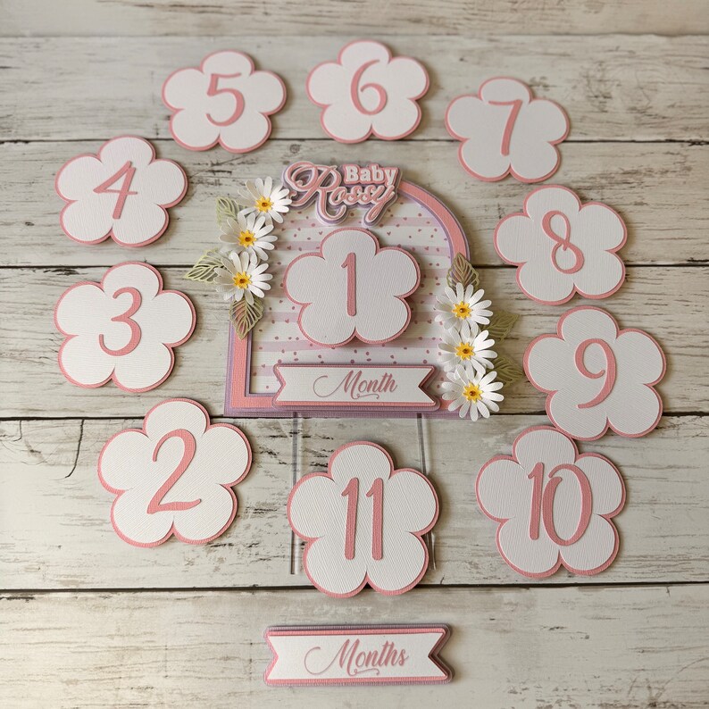 Baby Monthly Milestone Cake Topper, Photo Prop - Etsy