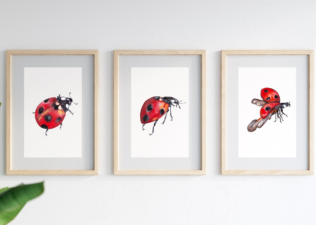Din A4 Art Print Without Frame Set of 3 Ladybug Beetle Watercolor ...