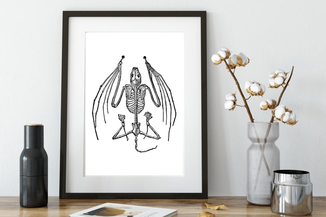 Din A4 Art Print Without Frame Bat Skeleton Anatomy Abstract Gothic ...