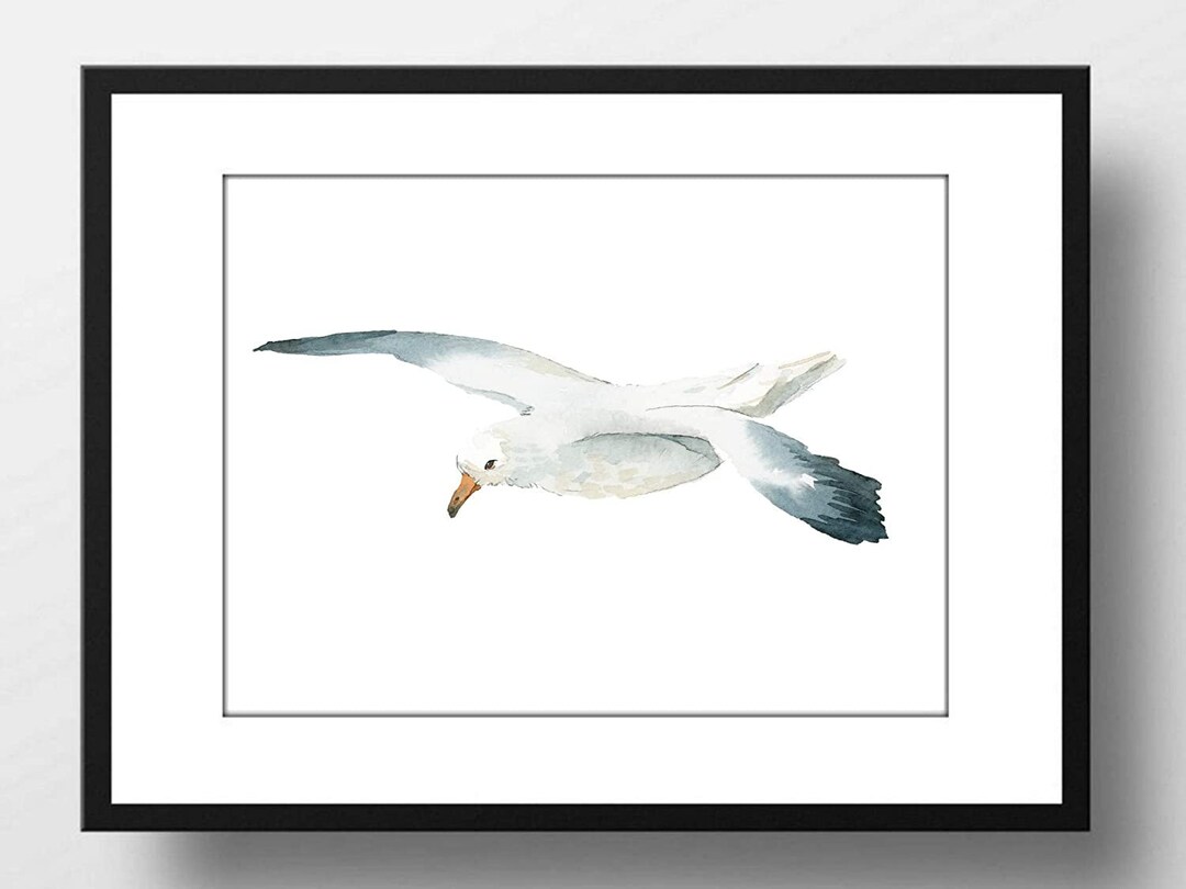 Din A4 Art Print Without Frame Flying Seagull Bird Maritime Seagull ...