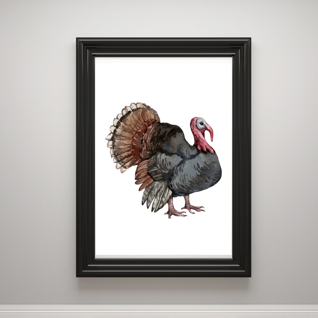 Din A4 Art Print Without Frame Turkey Puter Turkey Bird Nature ...