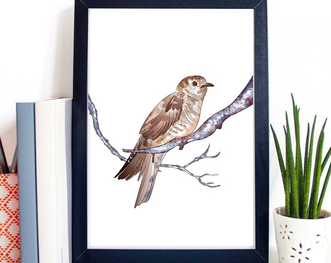 Din A4 Art Print Without Frame Cuckoo on Branch Bird Nature Graphic ...