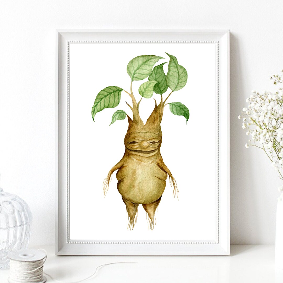Din A4 Art Print Without Frame Cute Alraune Magic Plant Ritual Magic ...