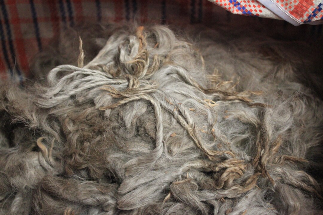 Grey - Natural SURI Alpaca Fleece - Other Colours Also Avail - Spinning ...