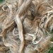 Rainbow-mix Suri Alpaca Fleece and Hand-dyed Suri Locks Spinning and ...