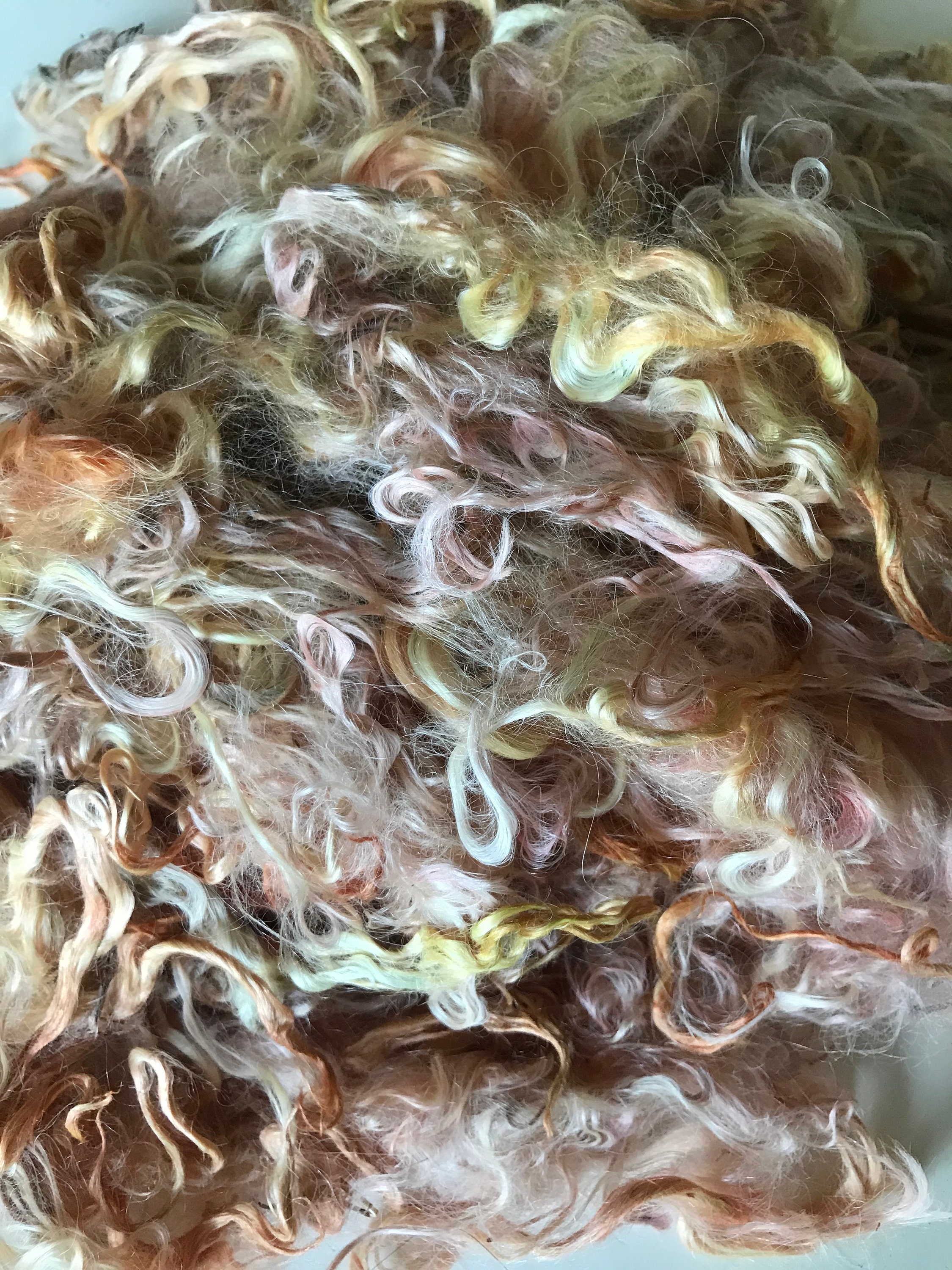 Suri Alpaca Fleece and Hand-dyed Suri Locks - Spinning and Felting ...