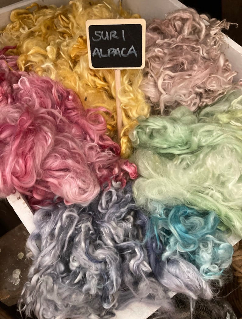 Rainbow-mix Suri Alpaca Fleece and Hand-dyed Suri Locks - Spinning and ...