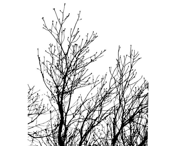 DIY Silk Screen Printing Tree Screen Silk Screen Stencil | Etsy