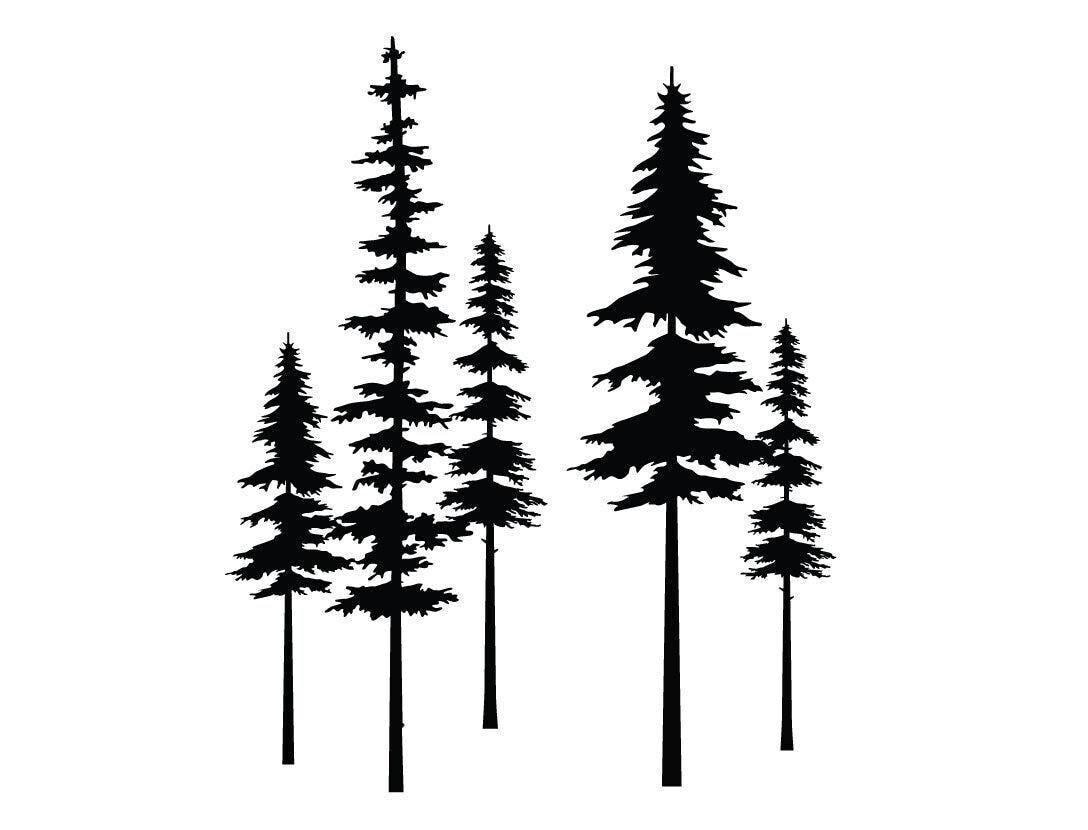 Large DIY Custom Spruce Tree Silk Screen Stencils for Fused or Stained ...
