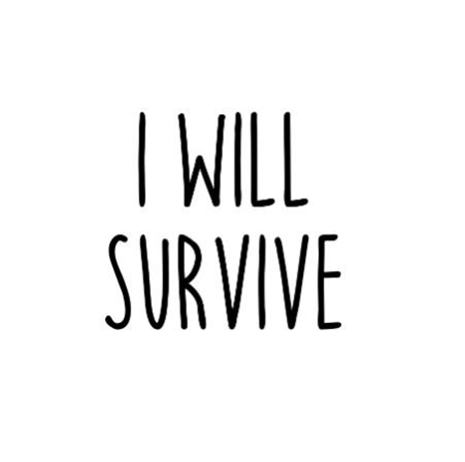 I Will Survive planter pot | Etsy