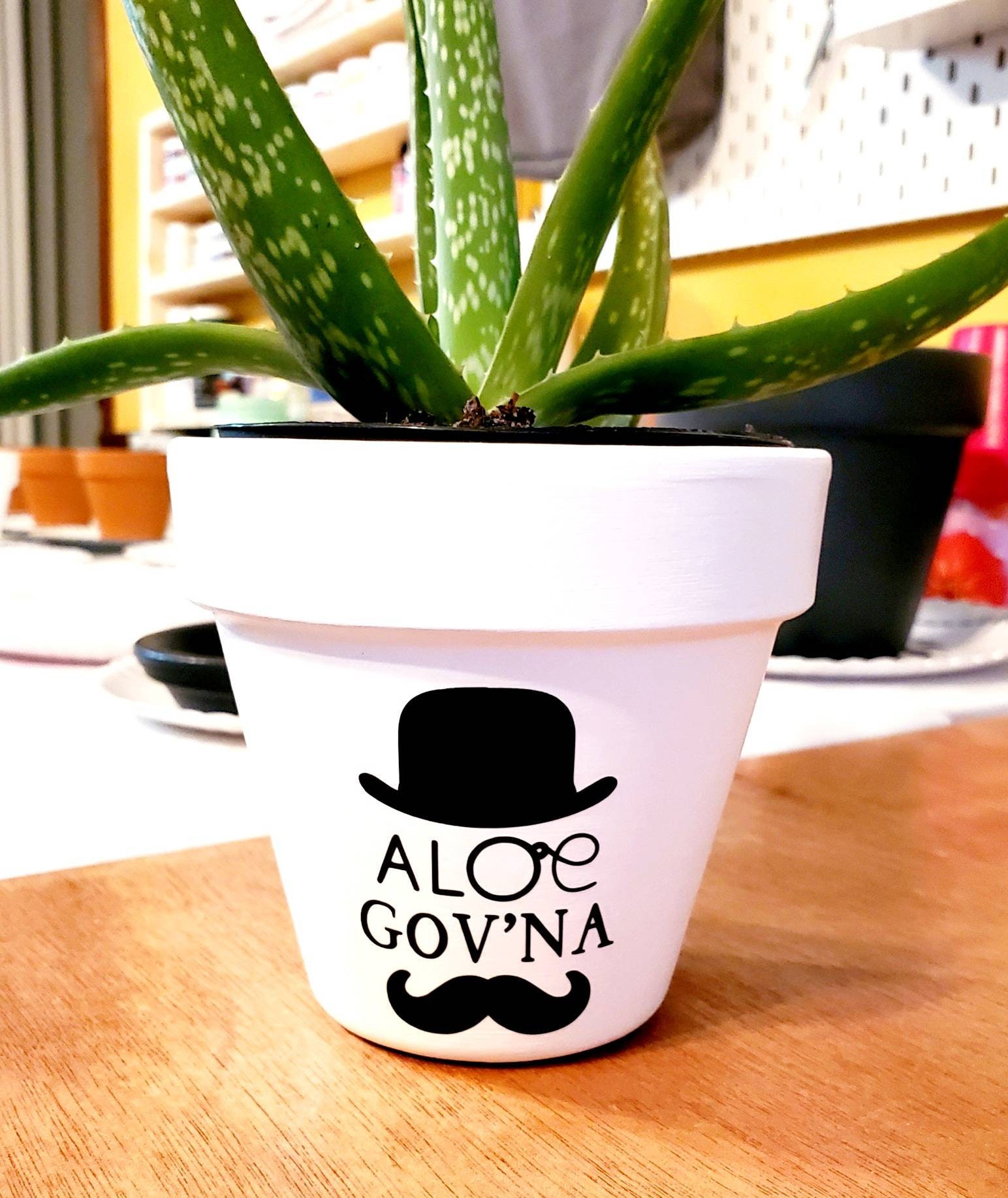 Aloe Gov'na Planter Pot | Etsy