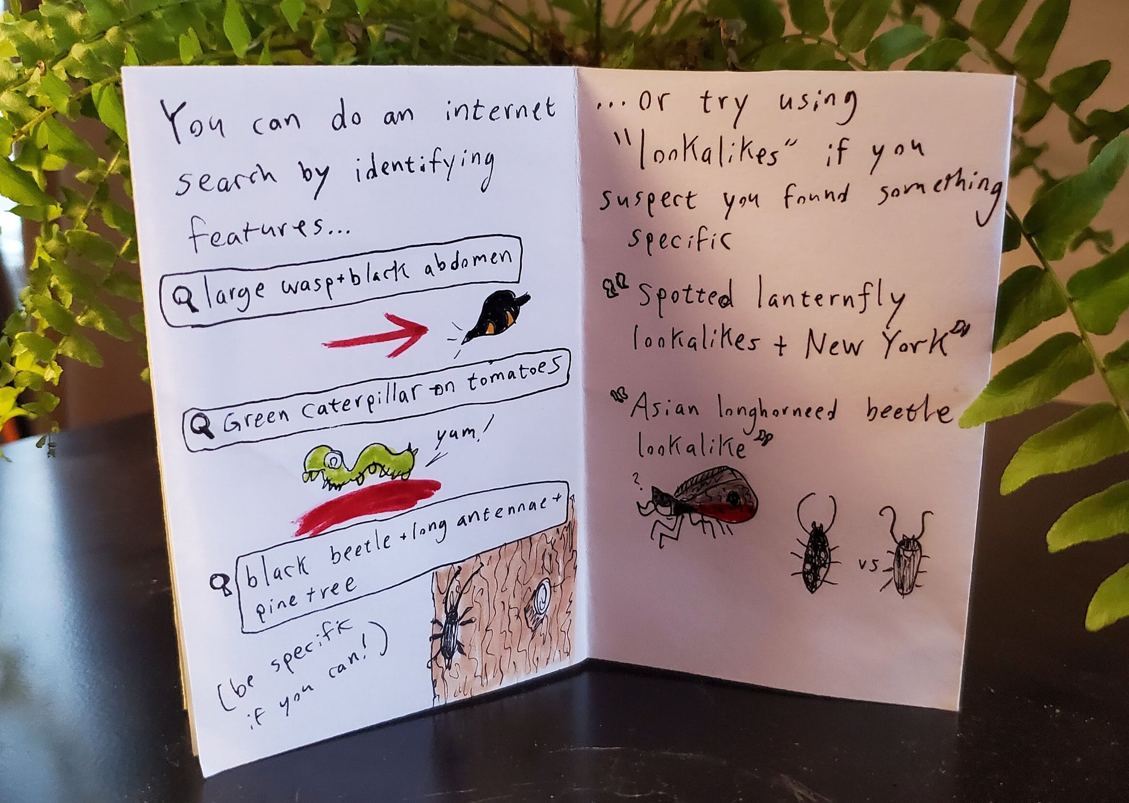 I Found A Strange Bug Zine - Etsy