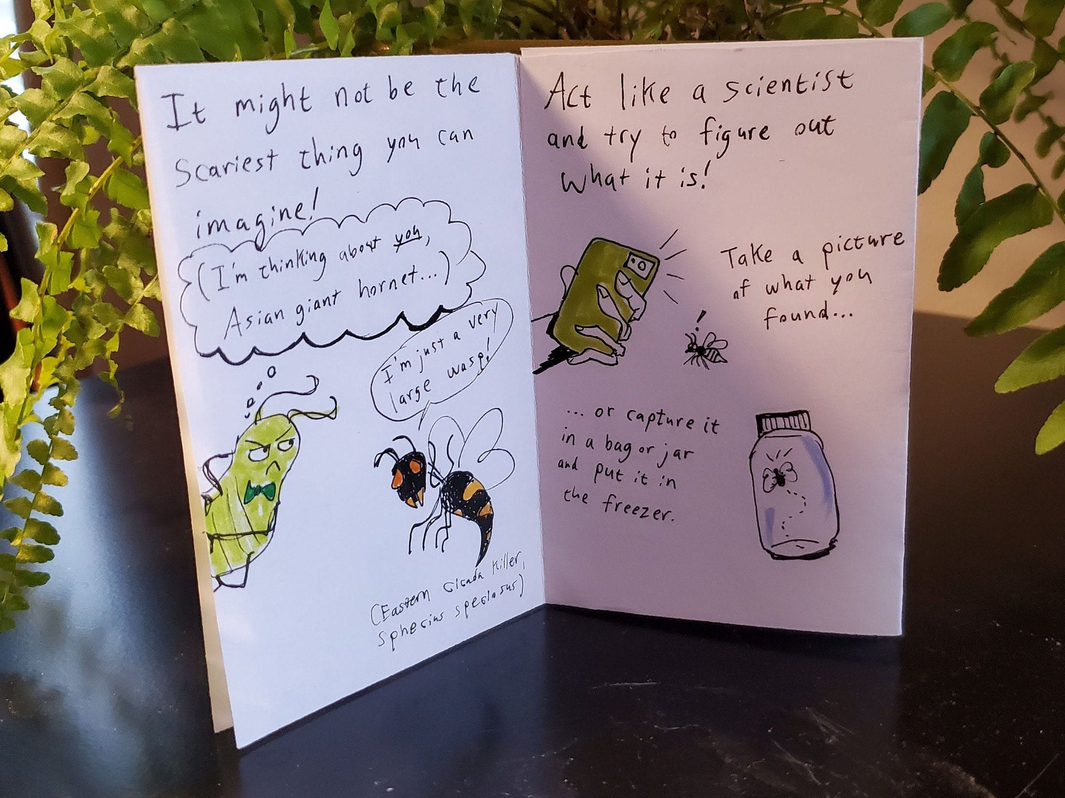 I Found A Strange Bug Zine - Etsy