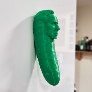 Picolas Cage Fridge Magnet Nicolas Cage Pickle Meme Funny Magnetic ...