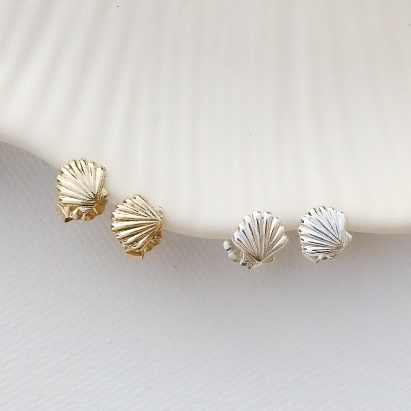 Shell Stud Earrings - Etsy