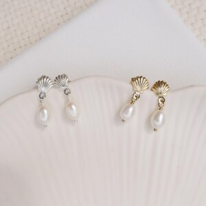 Freshwater Pearl Seashell Drop Earrings in Sterling Silver or 14k Gold Filled, Seashell Dangle ...