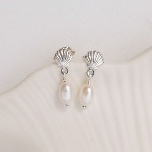 Freshwater Pearl Seashell Drop Earrings in Sterling Silver or 14k Gold ...