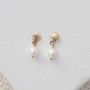Freshwater Pearl Seashell Drop Earrings in Sterling Silver or 14k Gold Filled, Seashell Dangle ...