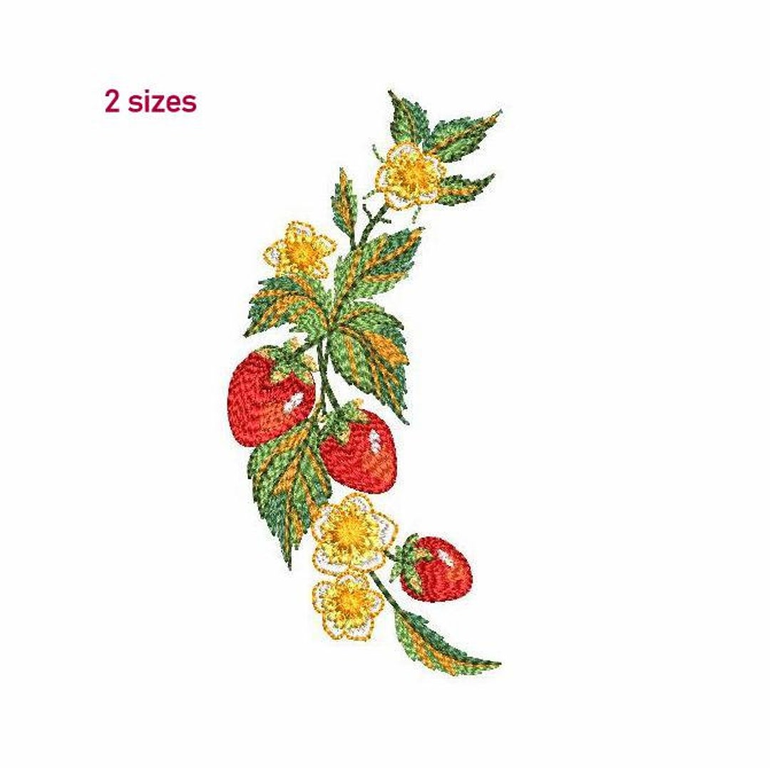 Strawberry Machine Embroidery Design 2 SIZES, Sketch Machine Embroidery ...
