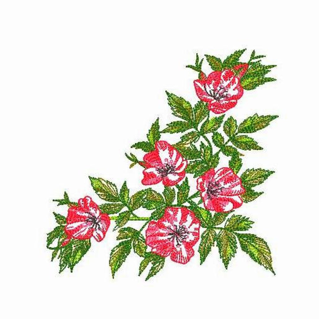 Rosehip Corner Machine Embroidery Design, Rosehip Flowers Digital ...