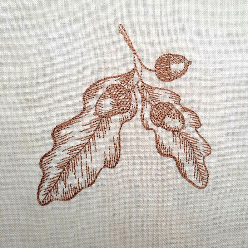 Acorns Machine Embroidery Design 3 SIZES Sketch Machine | Etsy