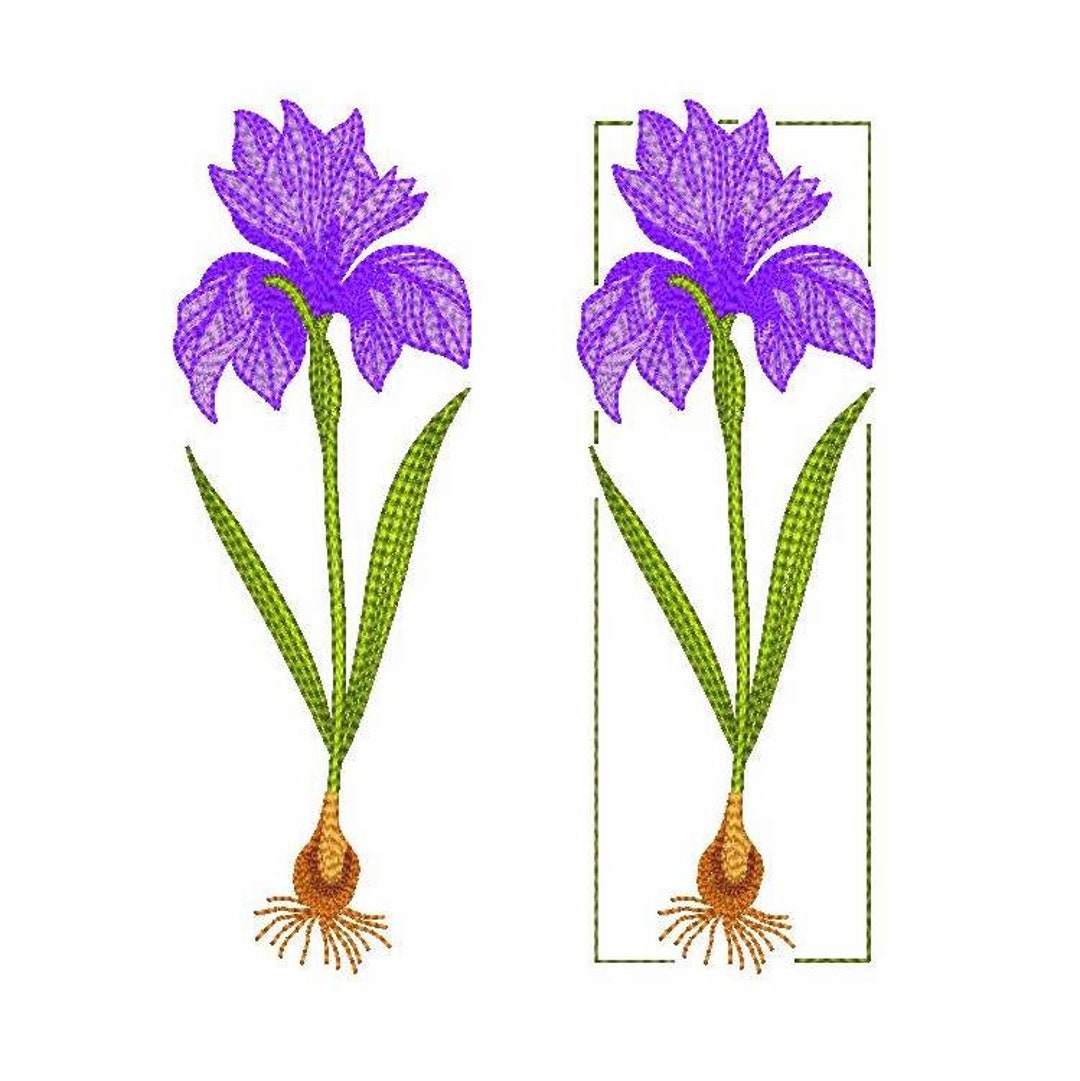 Iris Machine Embroidery Design - 4 Sizes, Digital Iris Flower File, 2 ...