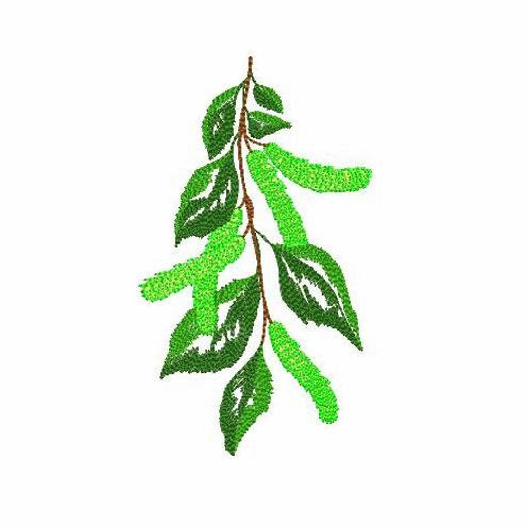 Birch Tree Branch Machine Embroidery Design, Sketch Machine Embroidery ...