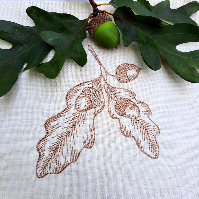 Acorns Machine Embroidery Design 3 SIZES Sketch Machine | Etsy