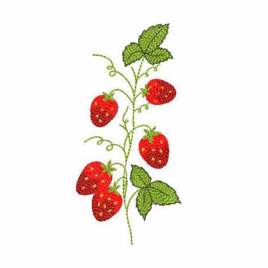 Strawberry Branch Machine Embroidery Design - 4 SIZES, Red Berry ...