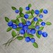 Blueberry Machine Embroidery Design, Blueberry Bouquet Digital ...