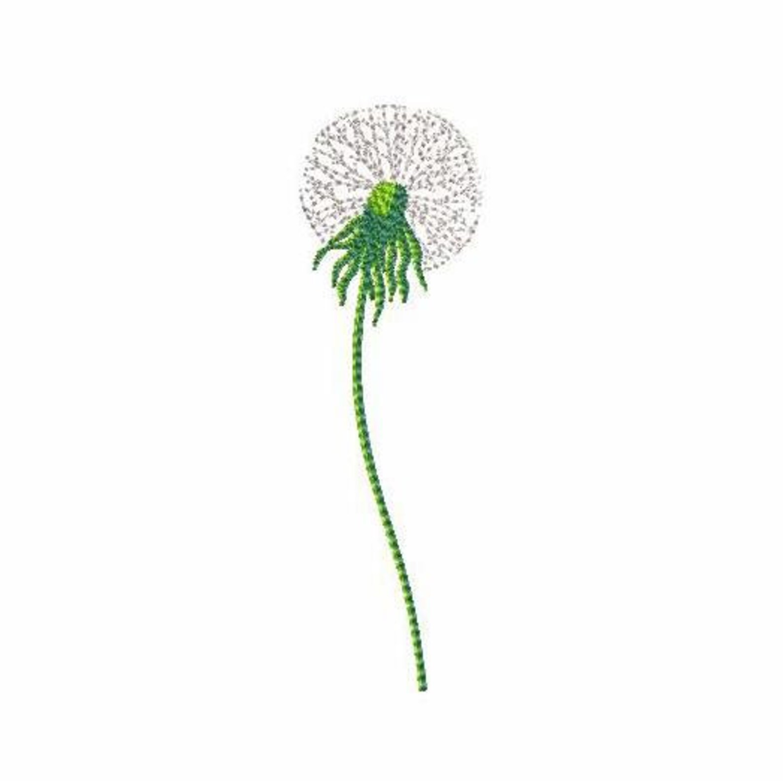 Dandelions SET Machine Embroidery Design 2 SIZES Sketch - Etsy