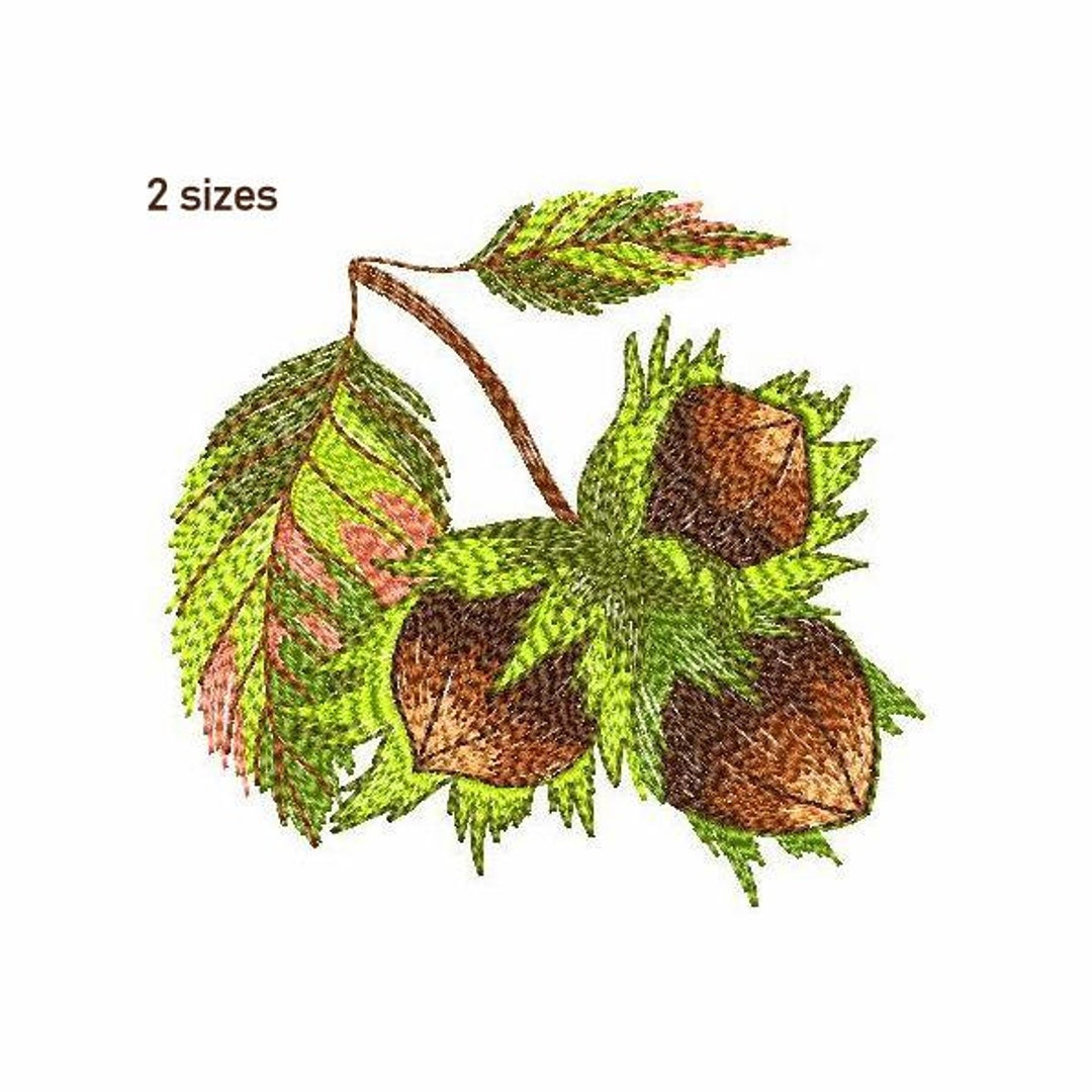 Hazelnuts Machine Embroidery Design 2 SIZES, Sketch Machine Embroidery ...