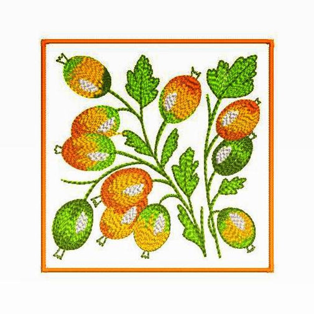 Gooseberry Machine Embroidery Design, Cute Gooseberry Digital ...