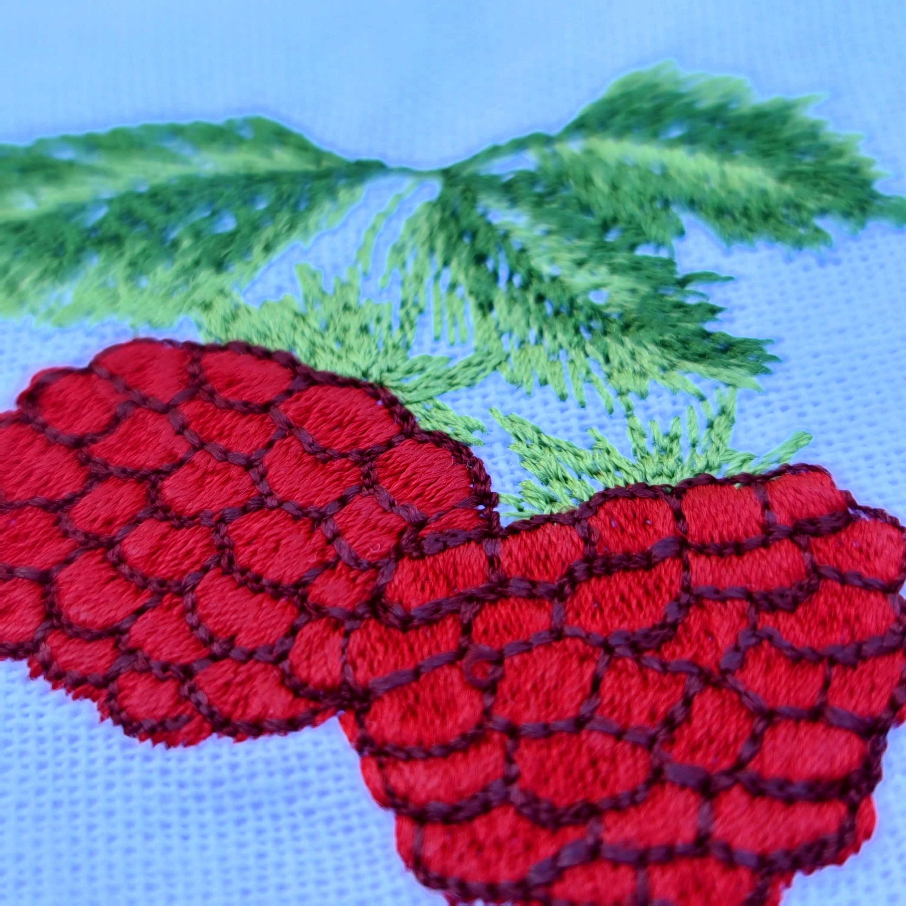 Raspberry Machine Embroidery Design 2 SIZES Sketch Machine - Etsy