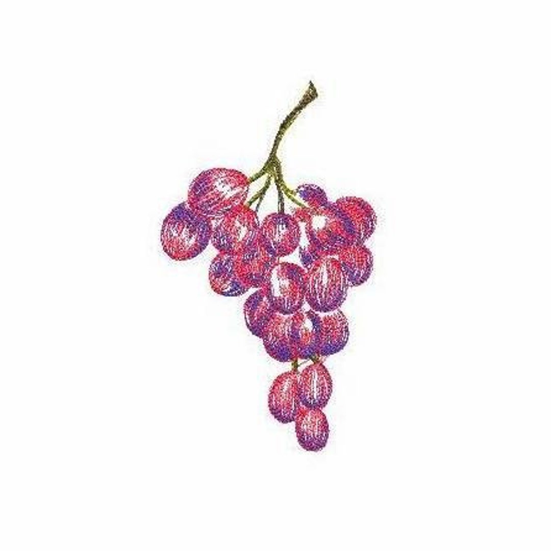 Grape Machine Embroidery Design 3 SIZES, Bunch of Grapes Digital ...