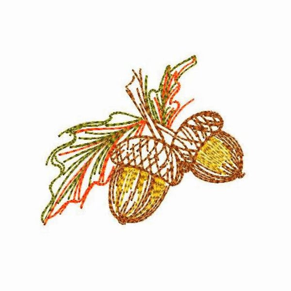 Acorn Embroidery - Etsy