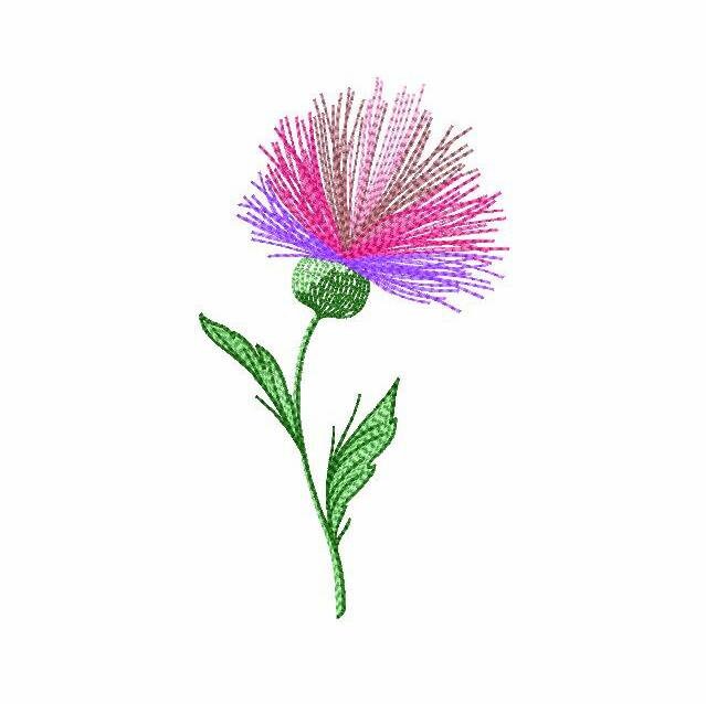 Thistle Machine Embroidery Design 7 SIZES Sketch Machine - Etsy