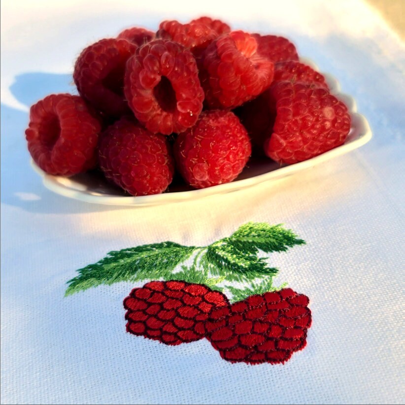 Raspberry Machine Embroidery Design 2 SIZES Sketch Machine | Etsy