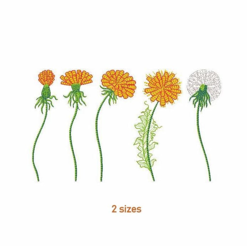Dandelions SET Machine Embroidery Design 2 SIZES Sketch - Etsy