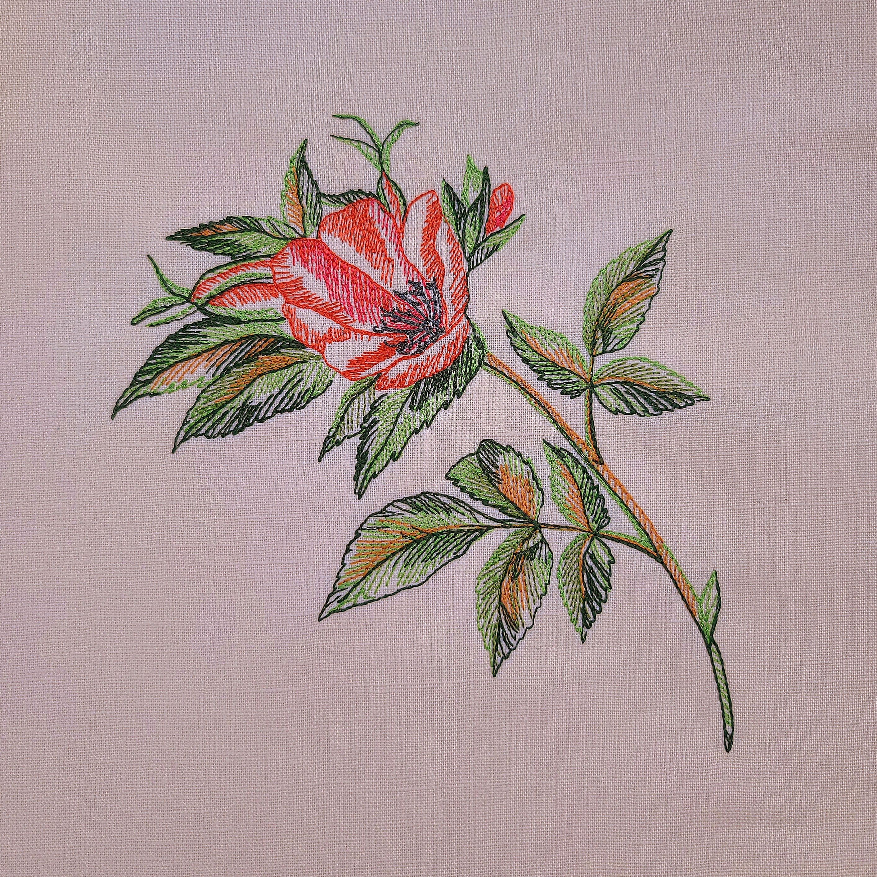 Rose Machine Embroidery Design 3 SIZES Sketch Machine - Etsy